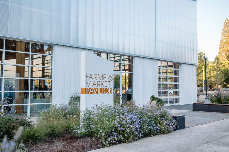 Projects | Cameron McCarthy