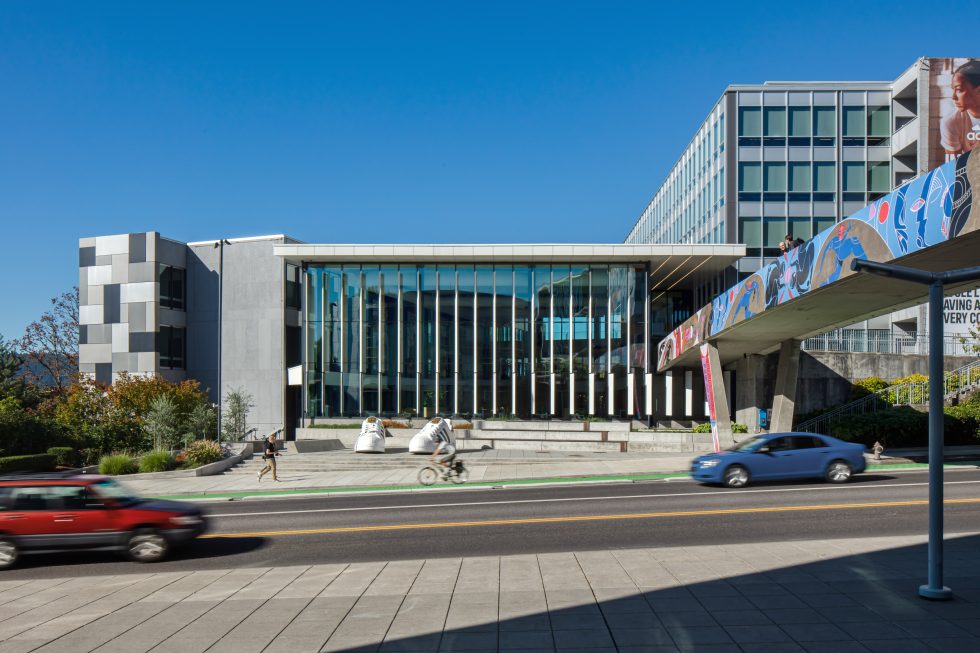 Adidas Intersection | Cameron McCarthy