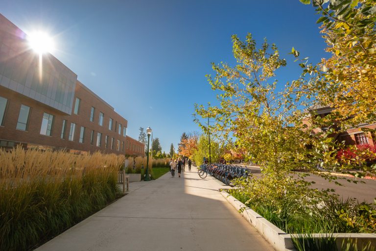 Projects | Cameron McCarthy